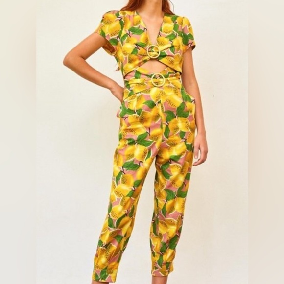 FARM Rio | Pants & Jumpsuits | Farm Rio Fresh Lemons Jumpsuit | Poshmark